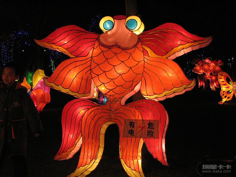 成都金沙太阳灯会（二） - 瑞星卡卡安全论坛bbs.ikaka.com